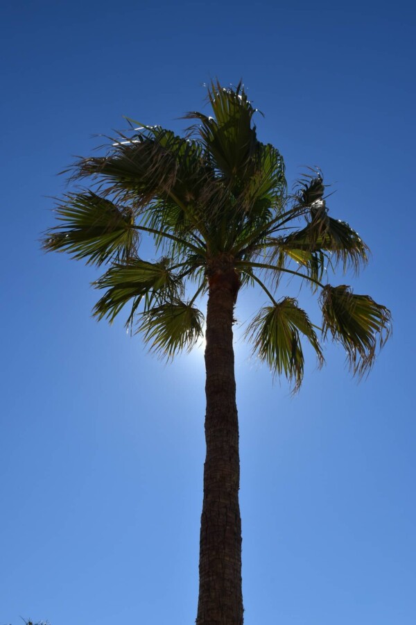 Odos Oneiron Tavronitis Bay - Odos Oneiron Tavronitis Bay